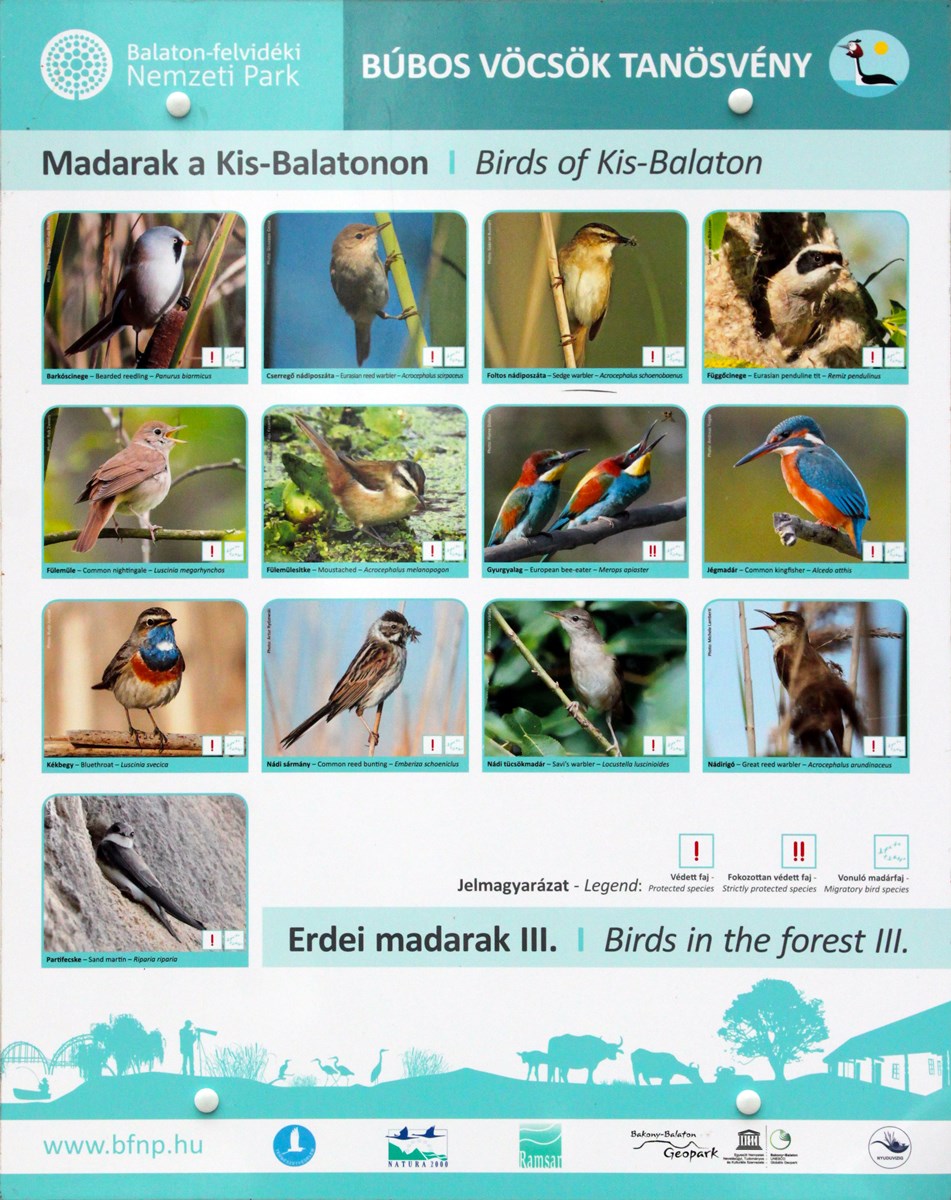 Kis-Balaton 40. – A Kányavári-sziget 37. - Erdély